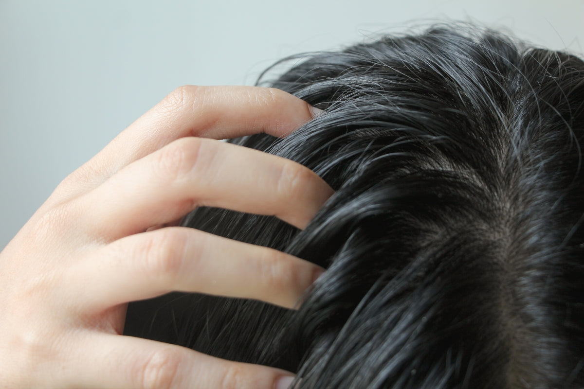 Why Does My Hair Feel Dry at the Ends but Greasy at the Roots? – Moo & Yoo