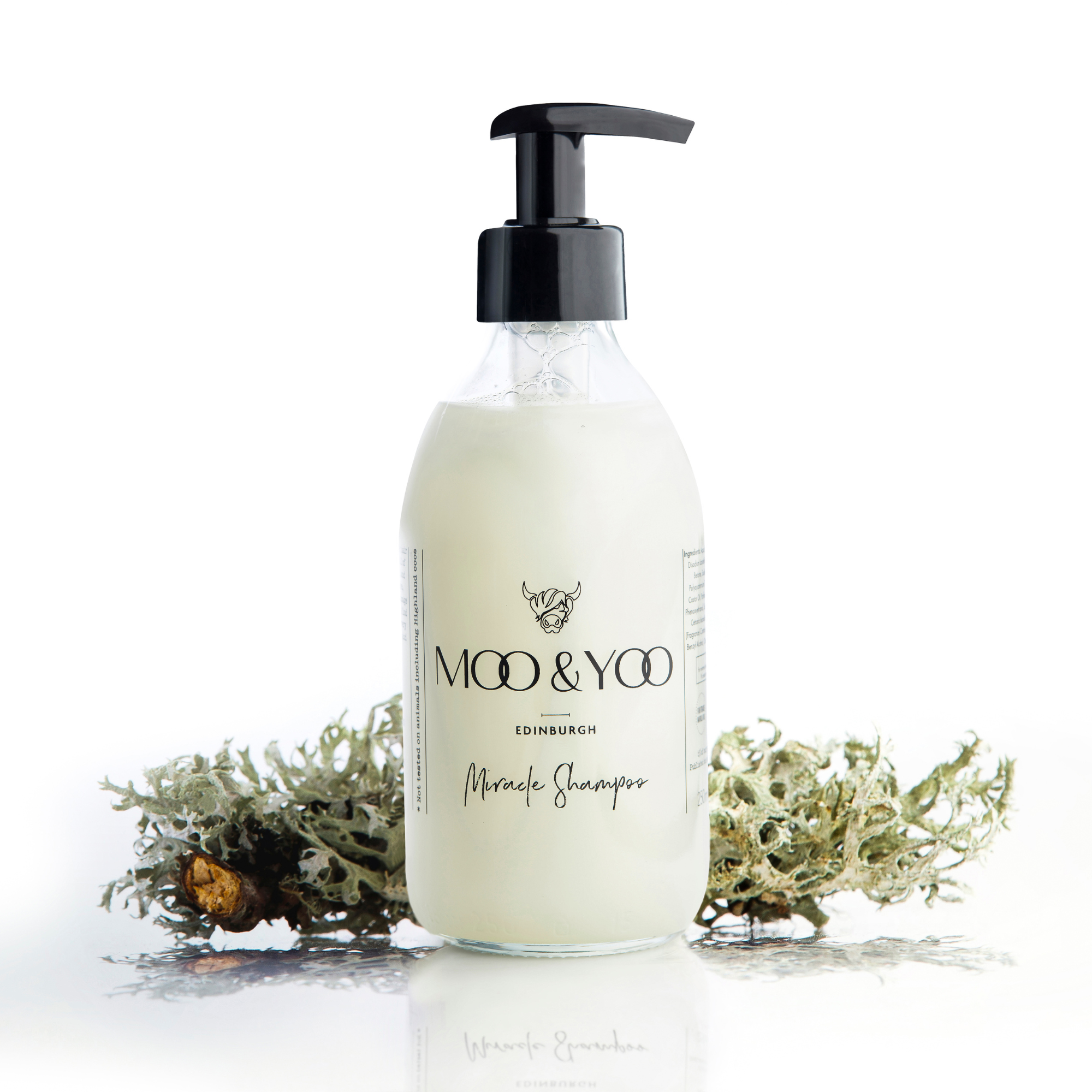 Natural Haircare by Moo & Yoo | Vegan, Sustainable Hair Products